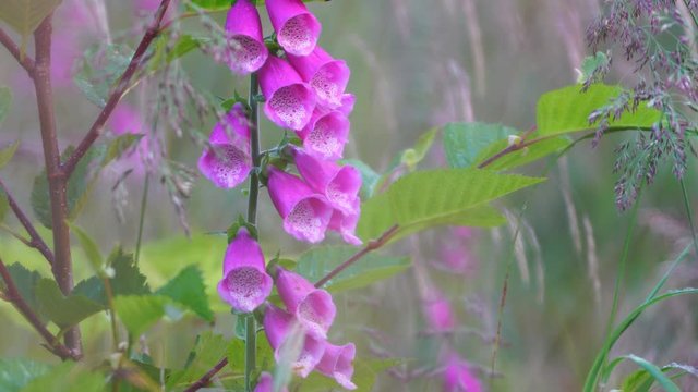 Digitaline Images – Browse 169 Stock Photos, Vectors, and Video | Adobe ...