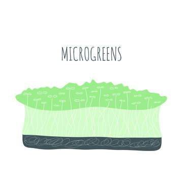 รูปภาพSubstrate – เลือกดูภาพถ่ายสต็อก เวกเตอร์ และวิดีโอ29,533 | Adobe ...