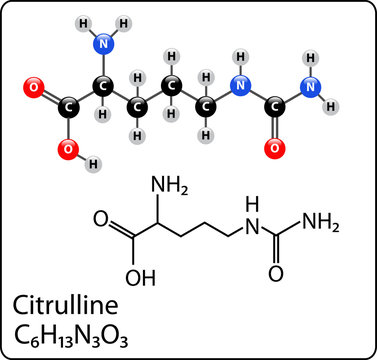 Citrulline Images – Browse 174 Stock Photos, Vectors, and Video | Adobe ...
