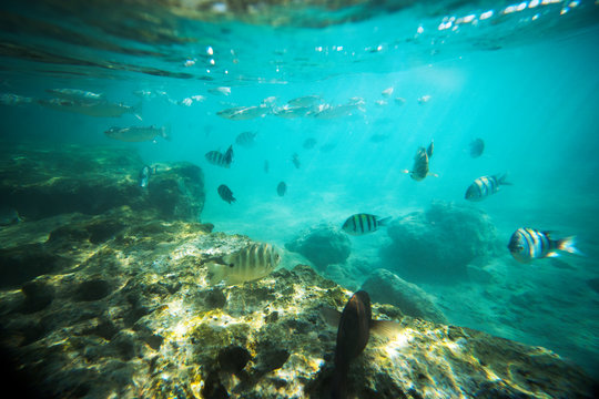 Riff Bilder – Durchsuchen 990,086 Archivfotos, Vektorgrafiken und ...