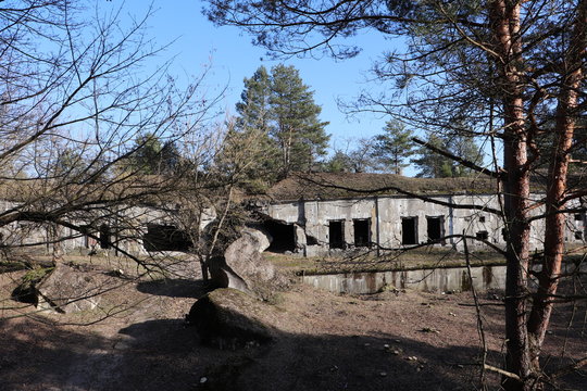 Bunkry Images – Browse 265 Stock Photos, Vectors, and Video | Adobe Stock