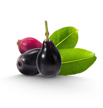 Jamblon Images – Browse 16 Stock Photos, Vectors, and Video | Adobe Stock