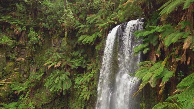 รูปภาพBeauchamp – เลือกดูภาพถ่ายสต็อก เวกเตอร์ และวิดีโอ305 | Adobe Stock