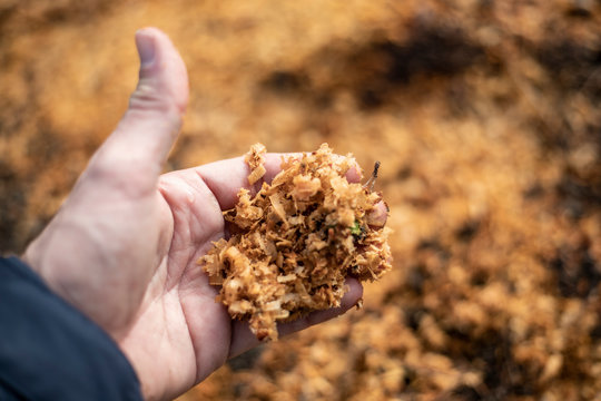 Serrin Images – Browse 19 Stock Photos, Vectors, and Video | Adobe Stock