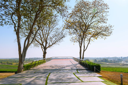 รูปภาพBoonrawd – เลือกดูภาพถ่ายสต็อก เวกเตอร์ และวิดีโอ90 | Adobe Stock