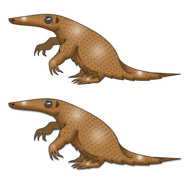 Manidae Bilder – Durchsuchen 48 Archivfotos, Vektorgrafiken und Videos ...