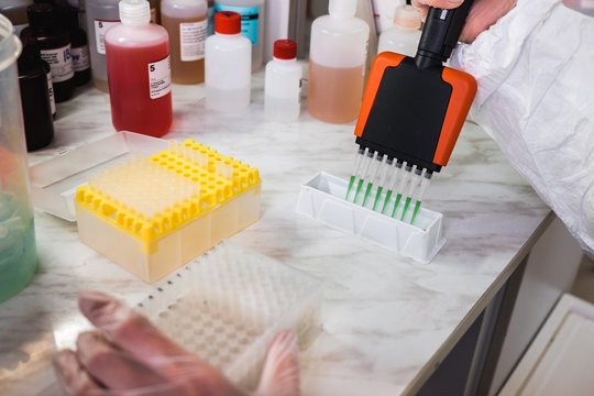 Multi-Pipette Images – Browse 13 Stock Photos, Vectors, and Video ...