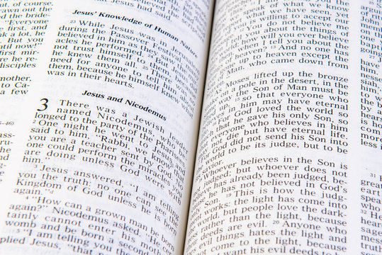 Free Bible Images – Browse 3,181 Free Stock Photos, Vectors, and Video ...