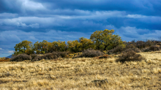 รูปภาพTuling – เลือกดูภาพถ่ายสต็อก เวกเตอร์ และวิดีโอ3,015 | Adobe Stock