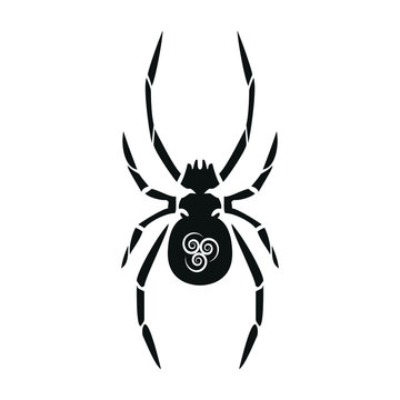 335 BESTE Arachne BILDER, STOCK-FOTOS & -VEKTORGRAFIKEN | Adobe Stock