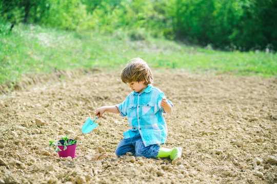 Spuddle Images – Browse 50 Stock Photos, Vectors, and Video | Adobe Stock