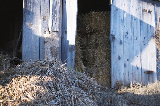 "Hay House" Images – Browse 38 Stock Photos, Vectors, and Video | Adobe ...