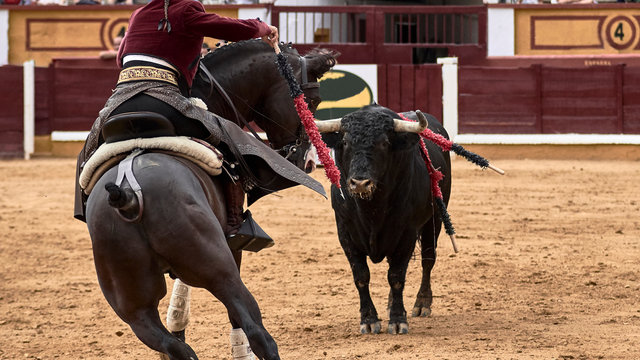 รูปภาพRejoneo – เลือกดูภาพถ่ายสต็อก เวกเตอร์ และวิดีโอ246 | Adobe Stock