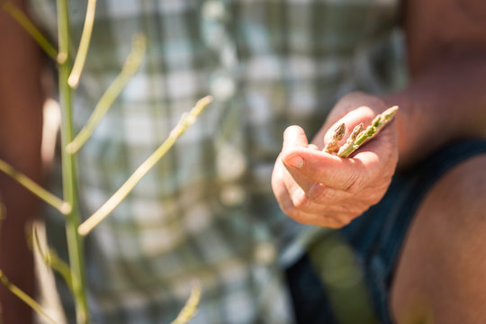 Fingerbreadth Images – Browse 169,133 Stock Photos, Vectors, and Video ...