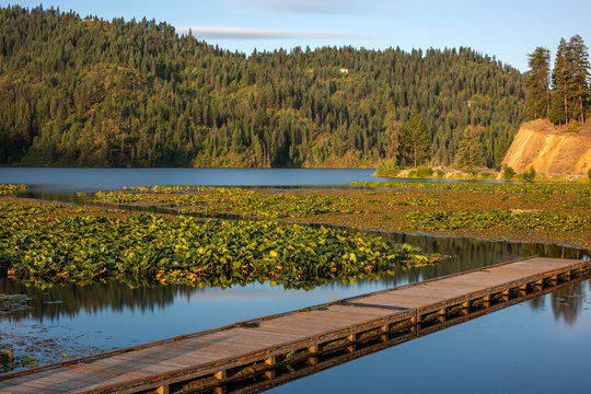 รูปภาพEquable – เลือกดูภาพถ่ายสต็อก เวกเตอร์ และวิดีโอ26,926 | Adobe Stock