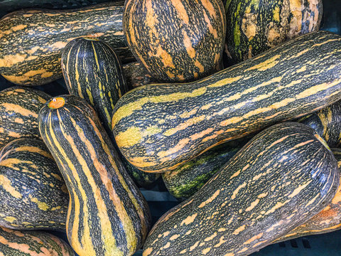 Ahuyama Images – Browse 57 Stock Photos, Vectors, and Video | Adobe Stock