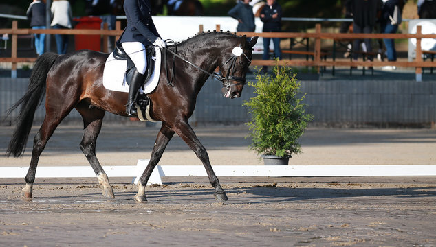 รูปภาพRenvers – เลือกดูภาพถ่ายสต็อก เวกเตอร์ และวิดีโอ251 | Adobe Stock