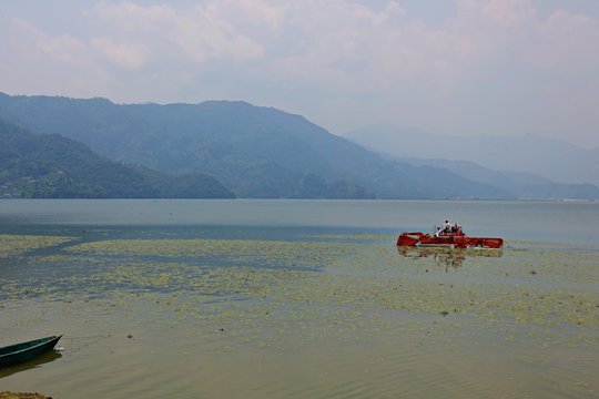 Kaskikot Images – Browse 44 Stock Photos, Vectors, and Video | Adobe Stock