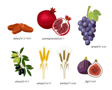 Seven Fruits Of Israel Images – Browse 160 Stock Photos, Vectors, and ...