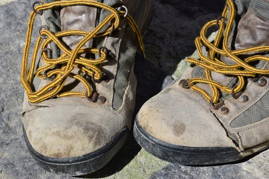 Logori Images – Browse 20 Stock Photos, Vectors, and Video | Adobe Stock