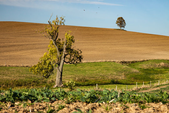 Uwe photos, images, assets | Adobe Stock