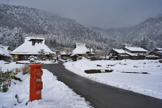 รูปภาพMiyama – เลือกดูภาพถ่ายสต็อก เวกเตอร์ และวิดีโอ517 | Adobe Stock