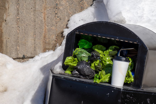 "Dog Having A Poo Images – Browse 47 Stock Photos, Vectors, and Video ...