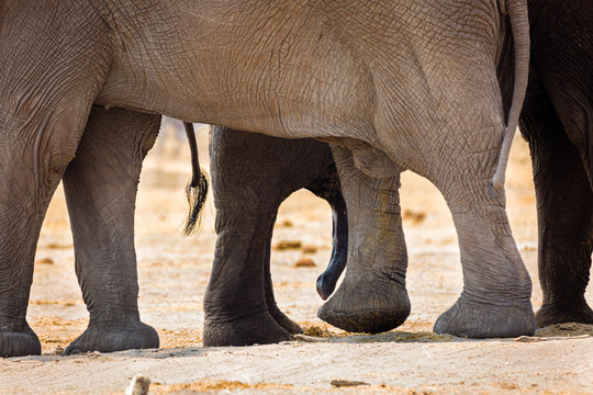 รูปภาพHauer – เลือกดูภาพถ่ายสต็อก เวกเตอร์ และวิดีโอ6,146 | Adobe Stock
