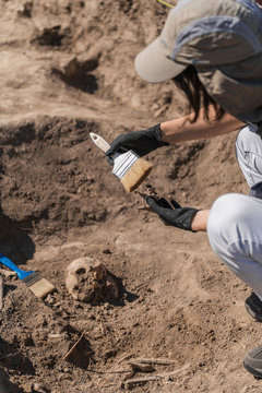 Bioarchaeology Images – Browse 59 Stock Photos, Vectors, and Video ...