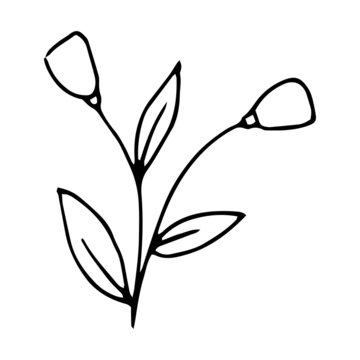 "Black Outlines" Billeder – Gennemse 298 stockfotos, vektorer og videoer | Adobe Stock