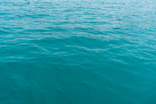 รูปภาพPpy – เลือกดูภาพถ่ายสต็อก เวกเตอร์ และวิดีโอ14,905 | Adobe Stock