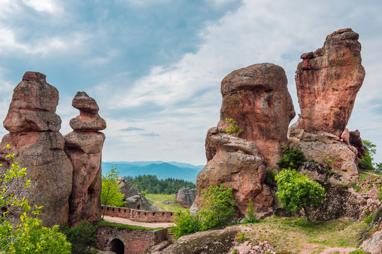 Funnily Images – Browse 2,899 Stock Photos, Vectors, and Video | Adobe ...