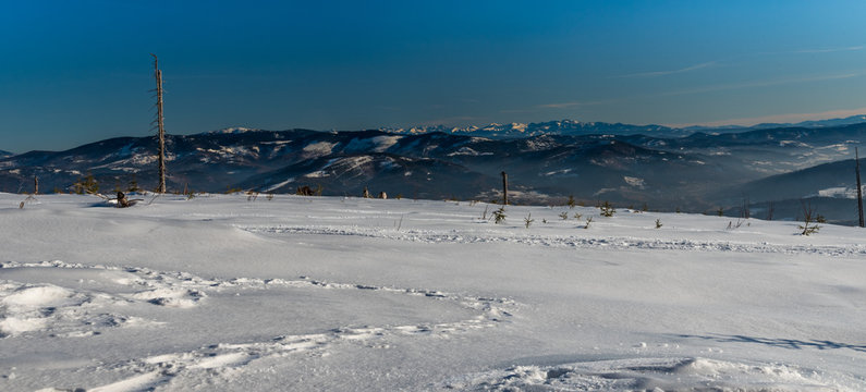 Wiselka Bilder – Durchsuchen 56 Archivfotos, Vektorgrafiken und Videos ...