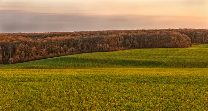 รูปภาพ"Evening Landscape" – เลือกดูภาพถ่ายสต็อก เวกเตอร์ และวิดีโอ732 ...