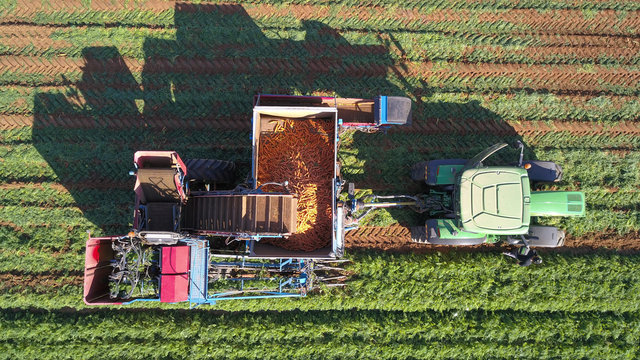 Mechanize bilder – Bläddra bland 54,540 stockfoton, vektorer och videor ...