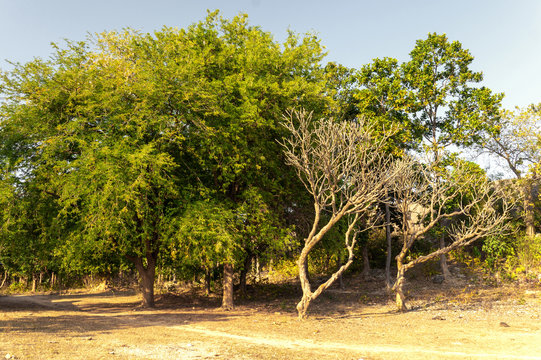 Pahar bilder – Bläddra bland 343 stockfoton, vektorer och videor ...