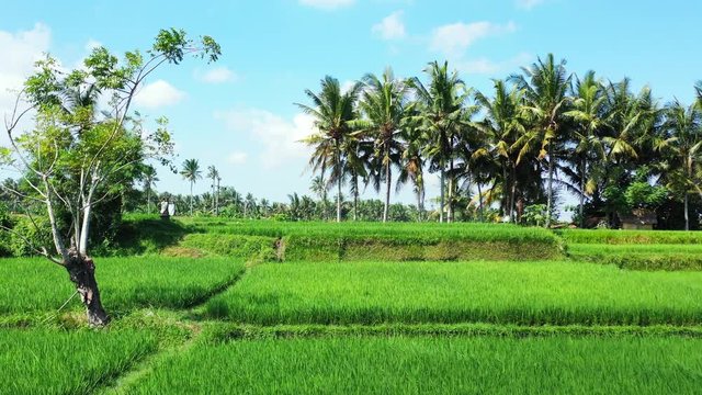 Bulacan Images – Browse 196 Stock Photos, Vectors, and Video | Adobe Stock