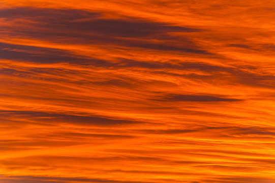 Red Golden Wallpaper Images – Browse 251,633 Stock Photos, Vectors, and ...