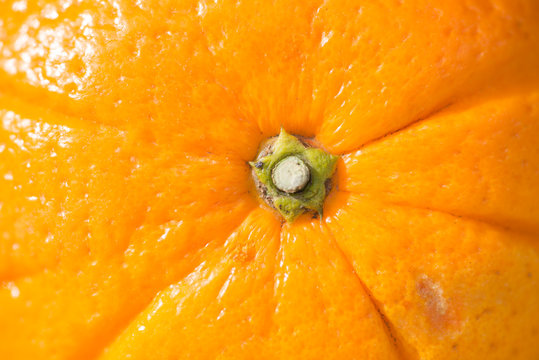 Picciolo Bilder – Durchsuchen 832 Archivfotos, Vektorgrafiken und ...