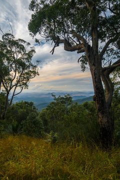 รูปภาพRockhampton – เลือกดูภาพถ่ายสต็อก เวกเตอร์ และวิดีโอ329 | Adobe Stock