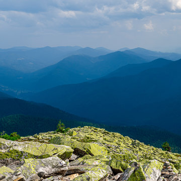 Stoch Images – Browse 61 Stock Photos, Vectors, and Video | Adobe Stock