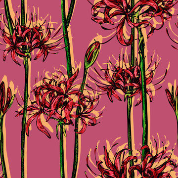 รูปภาพLycoris – เลือกดูภาพถ่ายสต็อก เวกเตอร์ และวิดีโอ3,370 | Adobe Stock