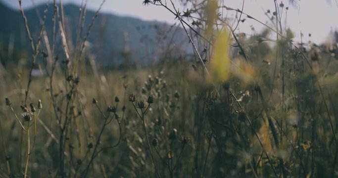 12-Bit Bilder – Durchsuchen 326 Archivfotos, Vektorgrafiken und Videos ...