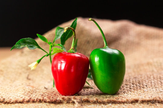 Imágenes de Locoto: descubre bancos de fotos, ilustraciones, vectores y ...