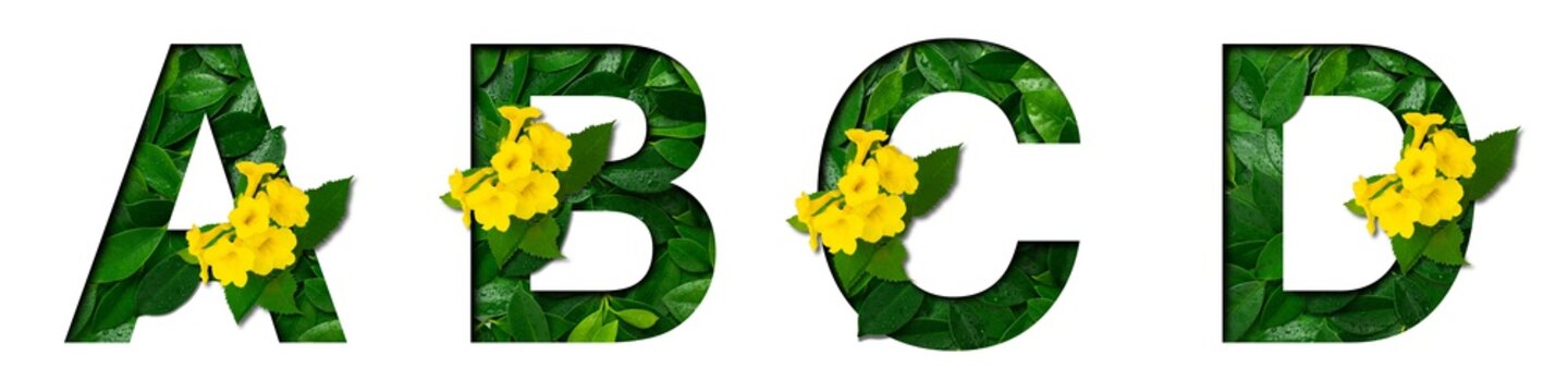 "Floral Font" Bilder – Durchsuchen 2,030 Archivfotos, Vektorgrafiken ...