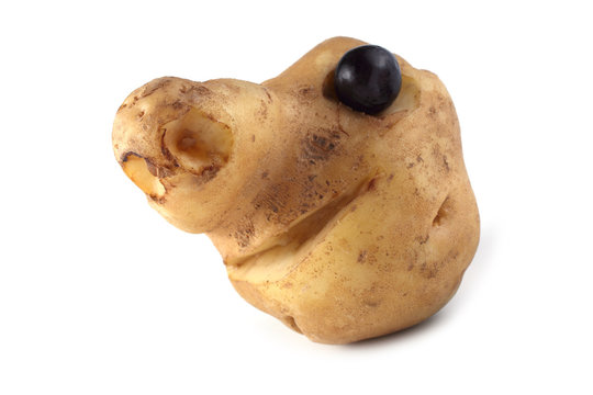 "Potato Head" Images – Browse 414 Stock Photos, Vectors, and Video ...