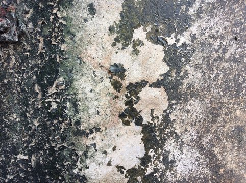 Akemi Kodama photos, images, assets | Adobe Stock