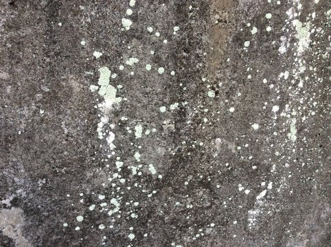 Akemi Kodama photos, images, assets | Adobe Stock