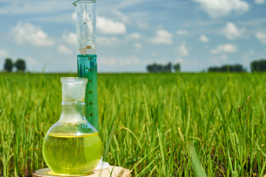 Agrochemistry Images – Browse 916 Stock Photos, Vectors, and Video ...