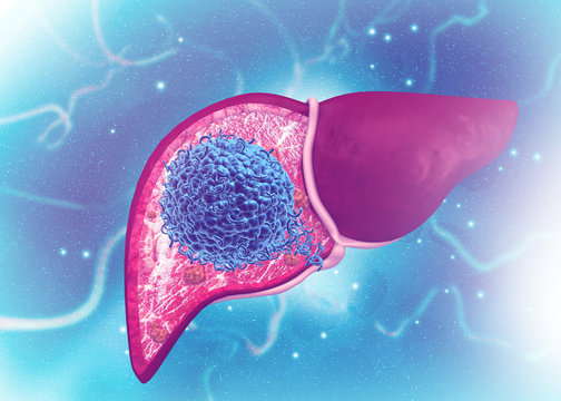 รูปภาพHepadnavirus – เลือกดูภาพถ่ายสต็อก เวกเตอร์ และวิดีโอ359 | Adobe ...